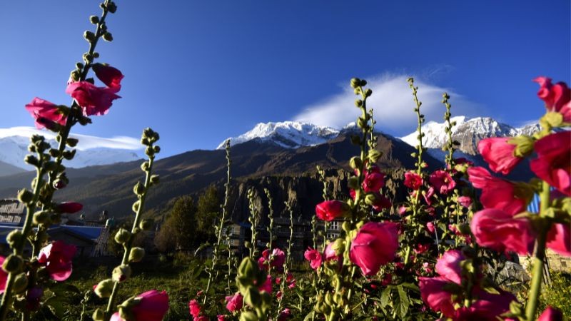 Nepal At a Glance - Interesting Facts, Geography, History, Culture